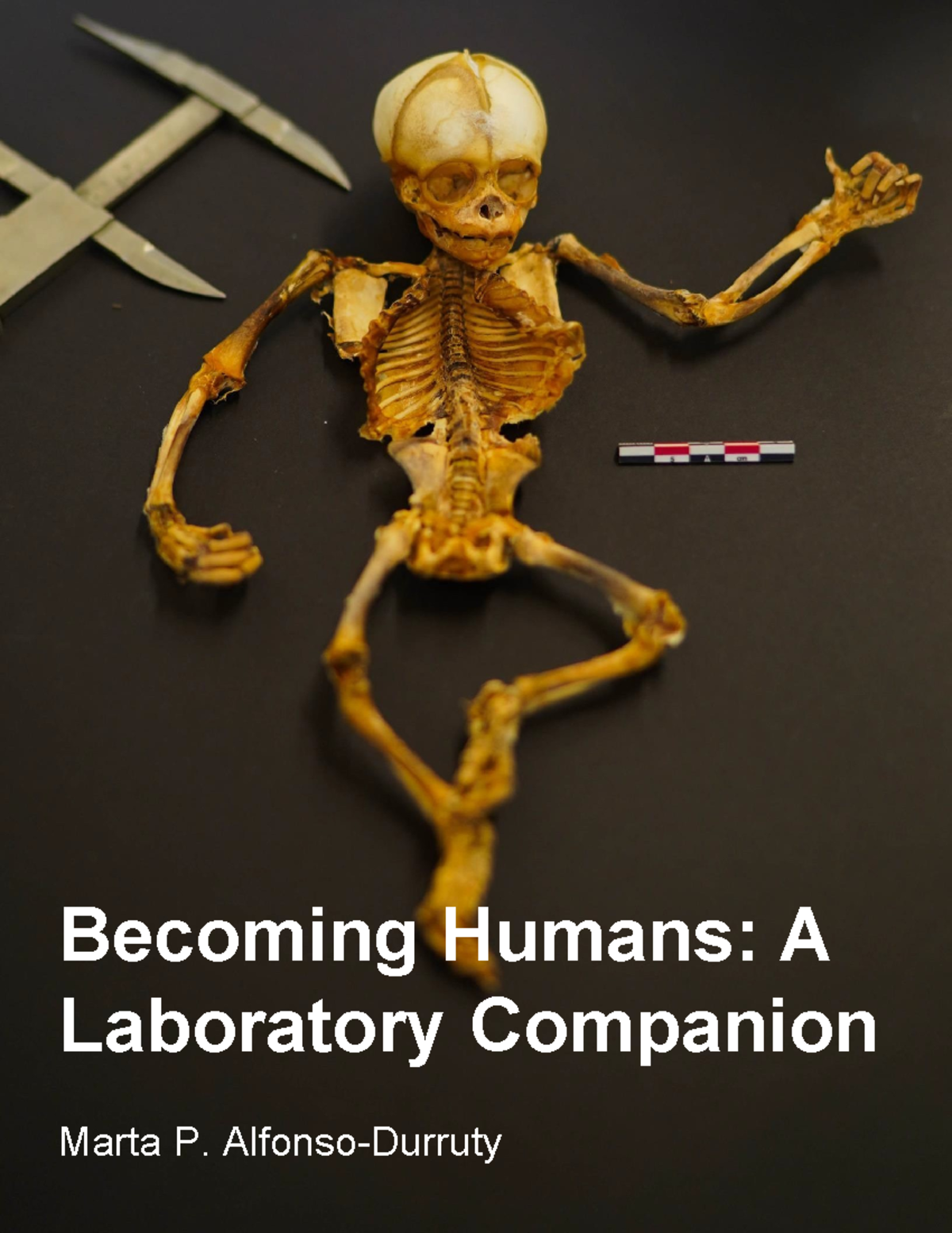 Laboratory 10 - lab - Becoming Humans: A Laboratory Companion Marta P ...