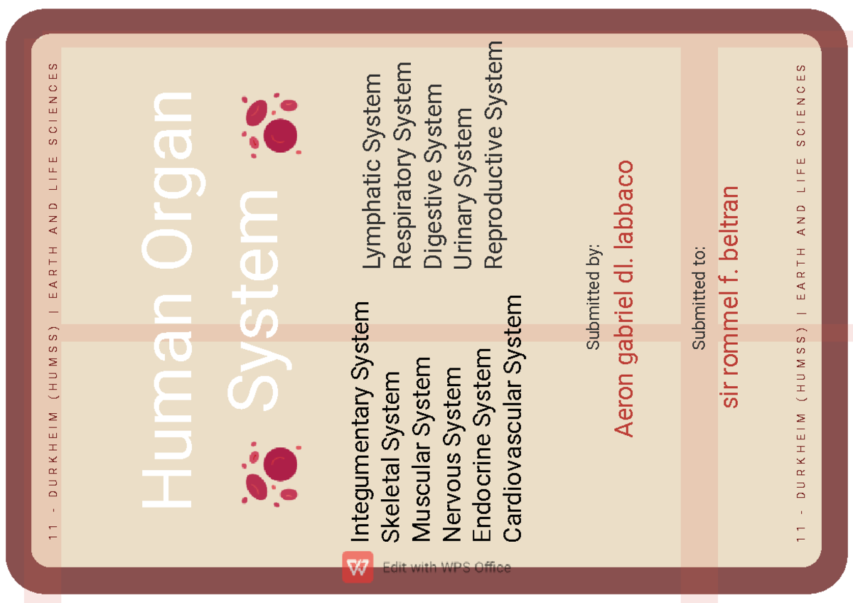 EALS - Hmm - Human Organ System Integumentary System Skeletal System ...