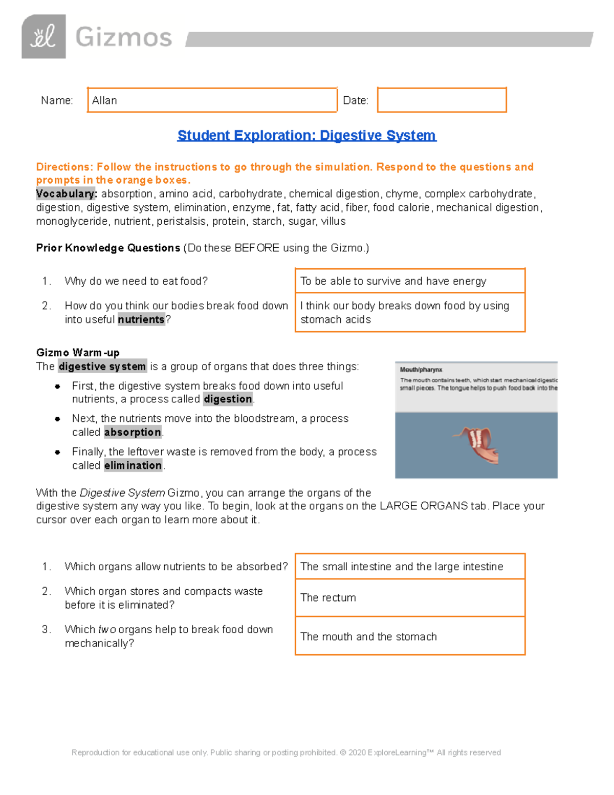 Copy of Digestive System SE - Name: Allan Date: Student Exploration ...