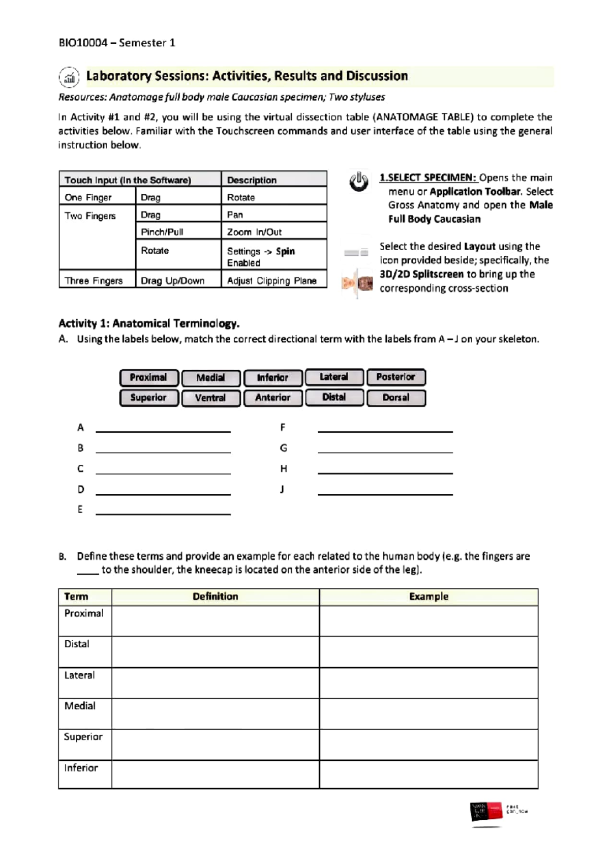 Anat left over pages - ervbre - Resources: Anatomage full body male ...