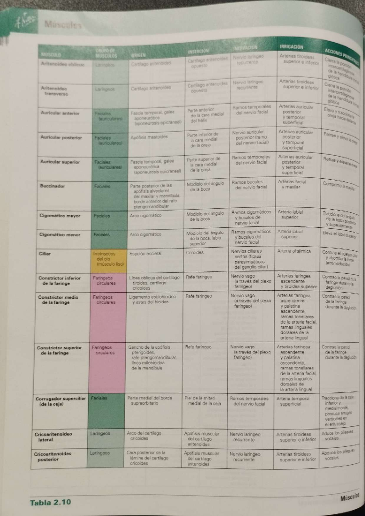 Netter 1 - Texto academico - ciensias naturales - Studocu
