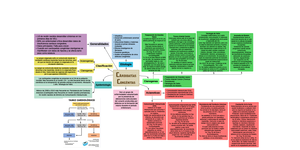Mapa Arritmias Ventriculares - ARRITMIAS CARDÍACAS Propiedades ...