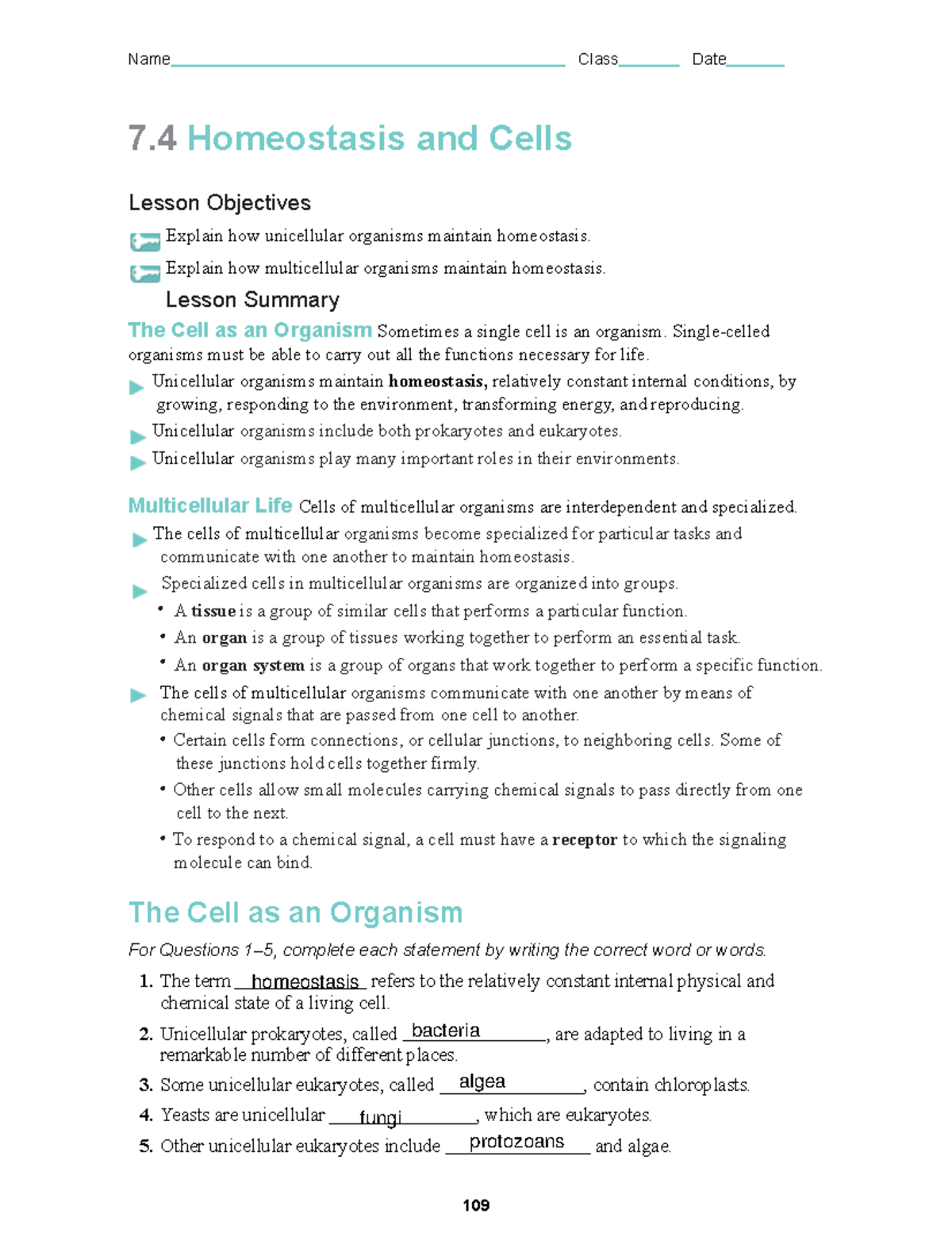 MATH@3492NDJWNFHEBWU - Name Class Date 7 Homeostasis and Cells Lesson ...
