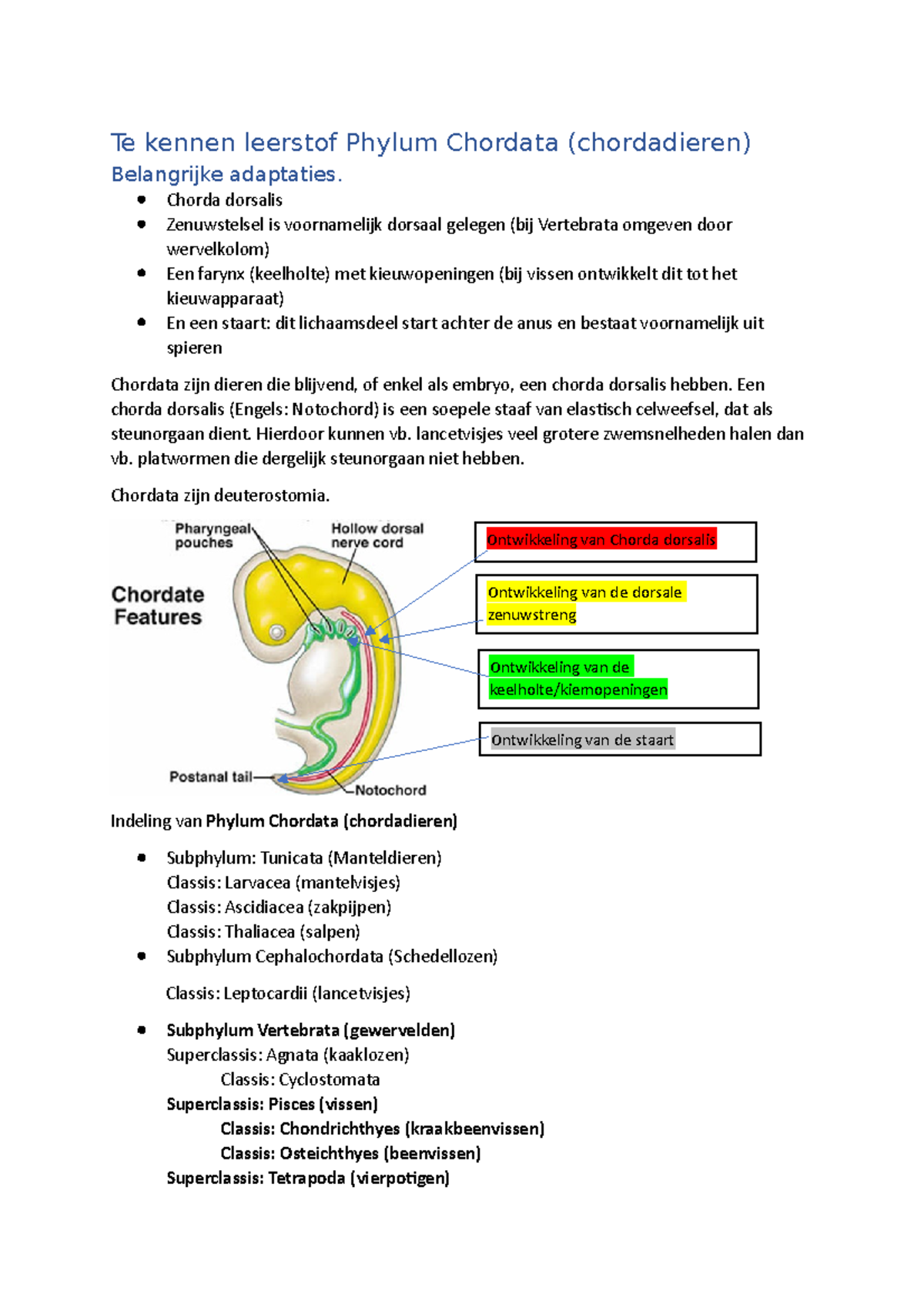 Te kennen leerstof Phylum Chordata 5 - Chorda dorsalis Zenuwstelsel is voornamelijk dorsaal ...