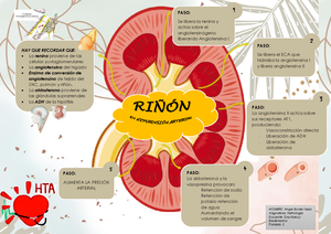Tabla comparativa glomerulonefritis Secundarias . Fernandez Pinto JHON ...