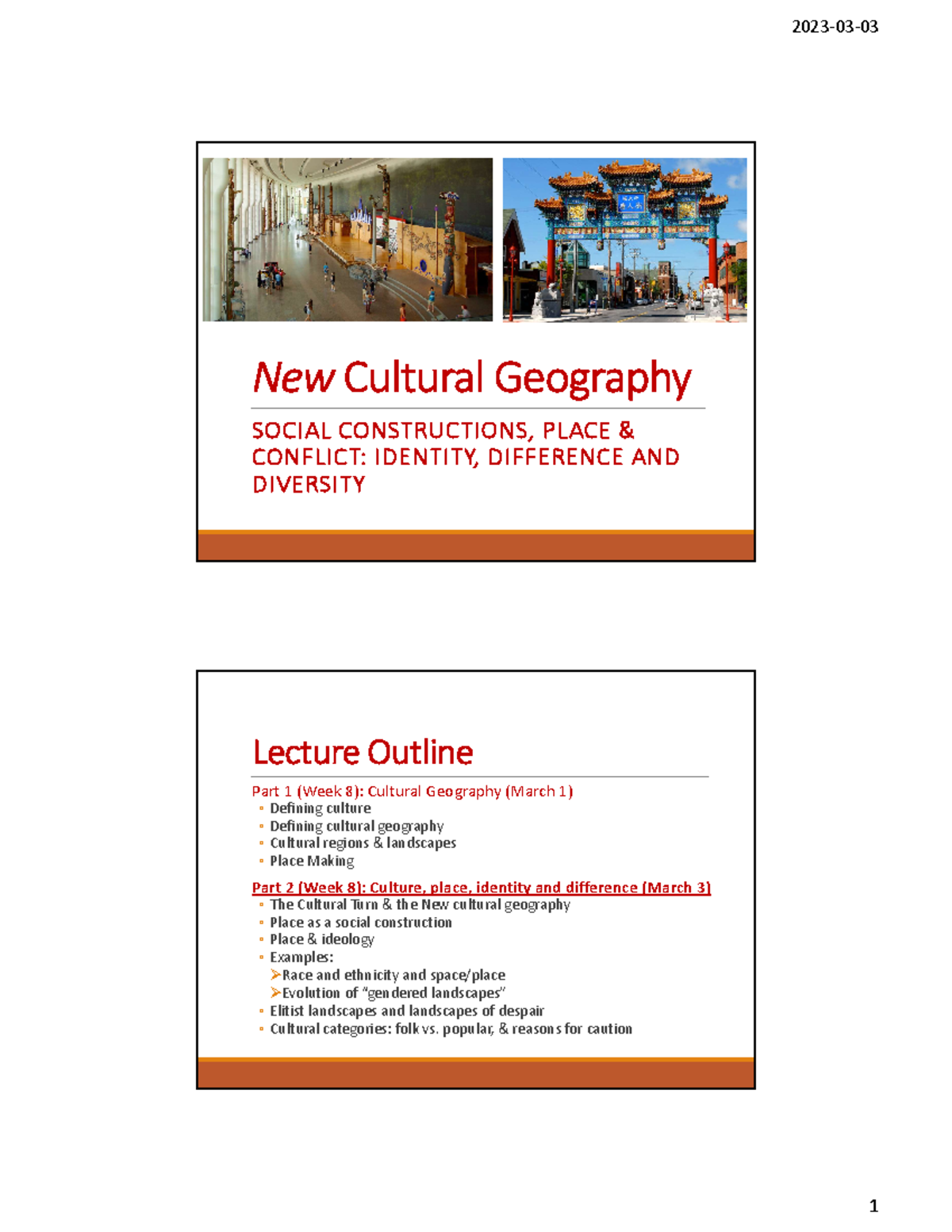 Week 8 Cultural Geography Part 2 Negar - New Cultural Geography SOCIAL ...