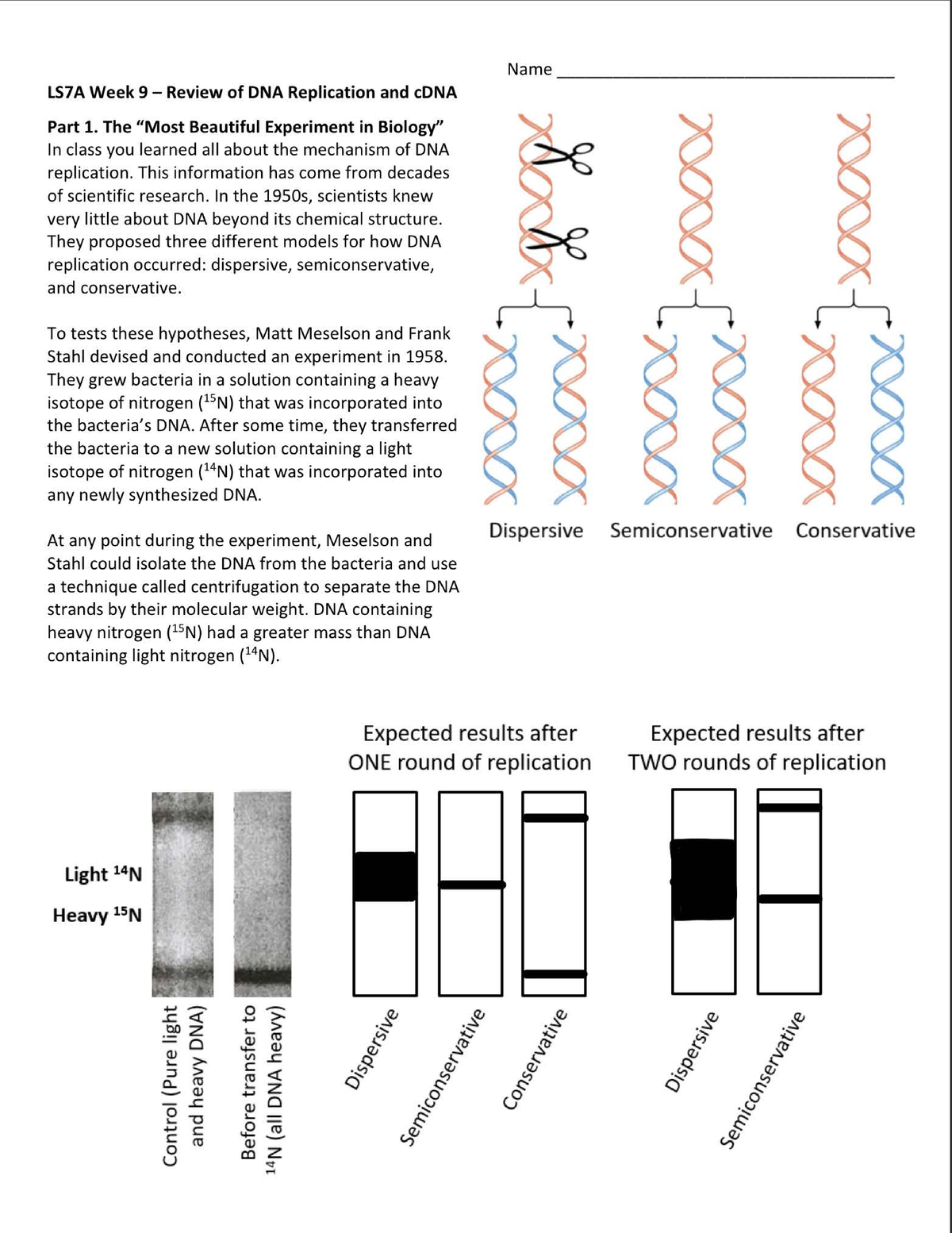 Discussion - Molecular Cell Biology - LS 7A - UCLA - Studocu