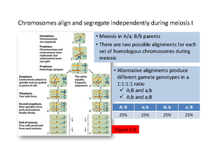 Genetics Unit 1 Class Notes - Lecture 1: Cells and Genes - What is ...