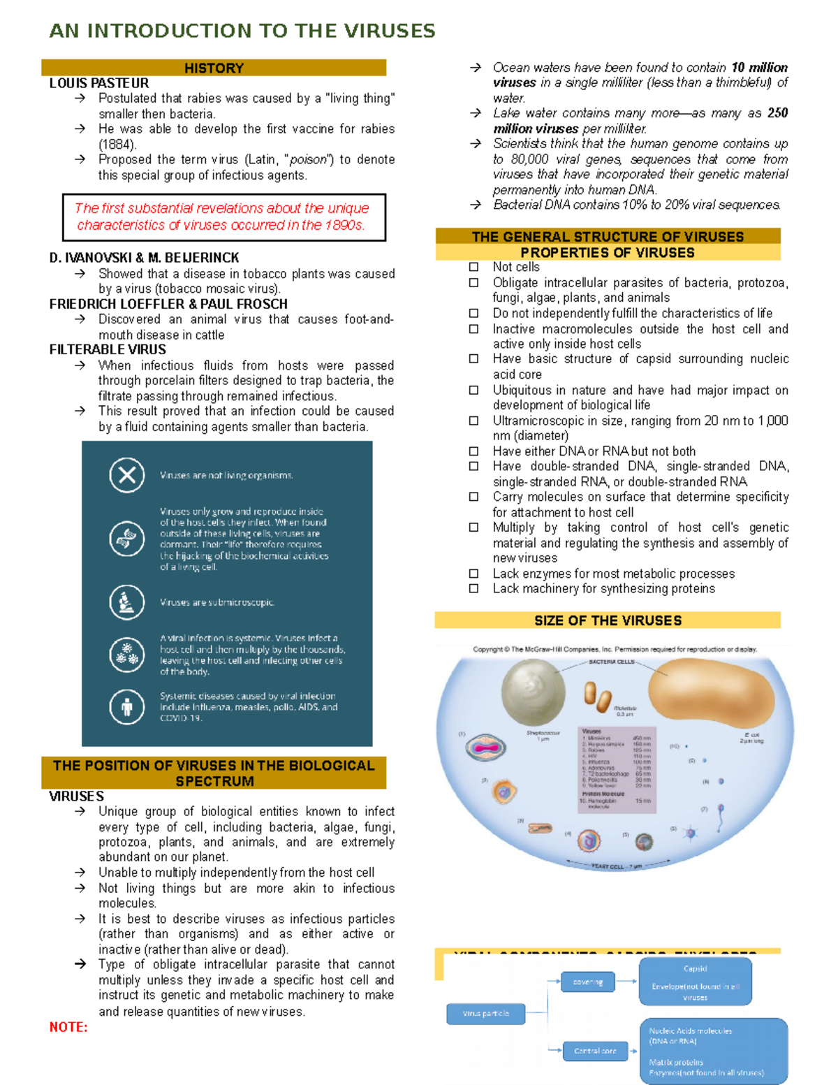 An Introduction to Viruses - AN INTRODUCTION TO THE VIRUSES HISTORY ...