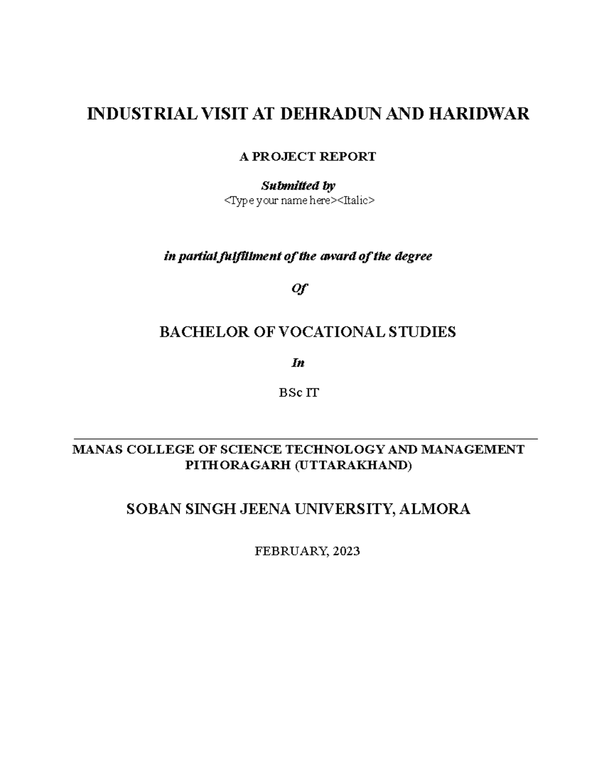 Project report format - The vocational study curriculum is intended to ...
