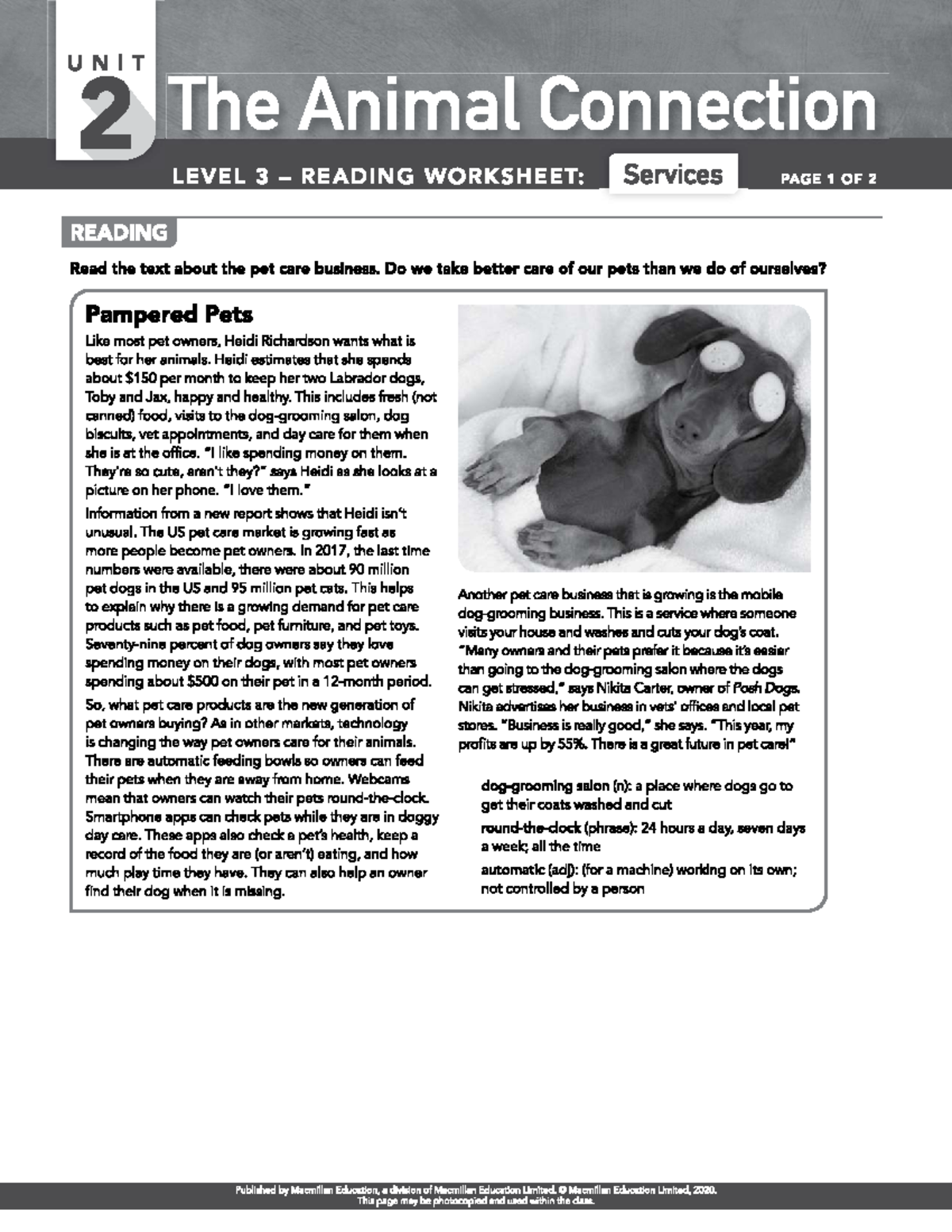 Animal connection 1 - Ingles Basico - Studocu