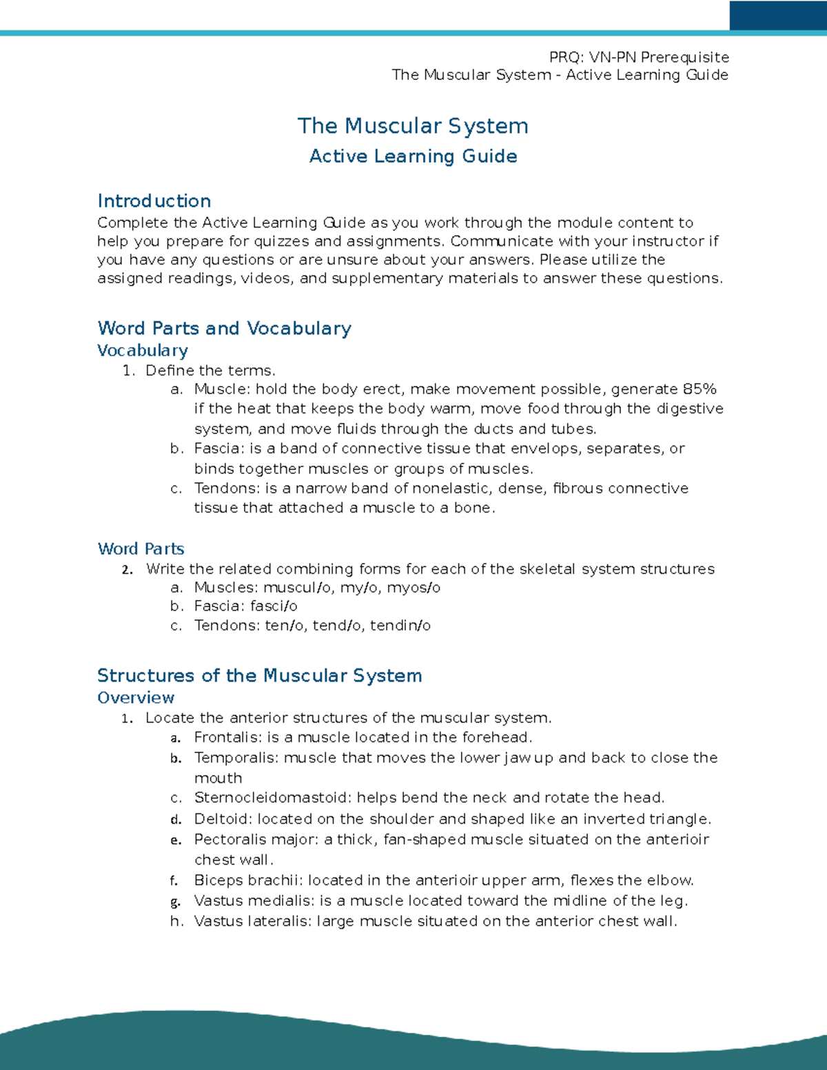 Ch. 4 - Muscular System - The Muscular System - Active Learning Guide ...