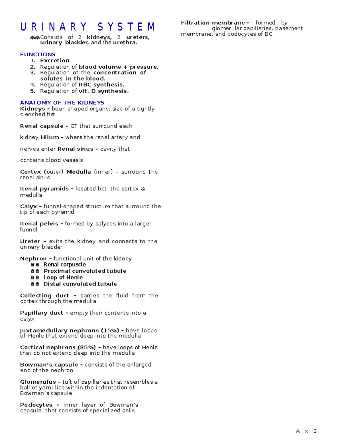 18-Urinary-System - reviewer - A x 2 U R I N A R Y S Y S T E M Consists ...