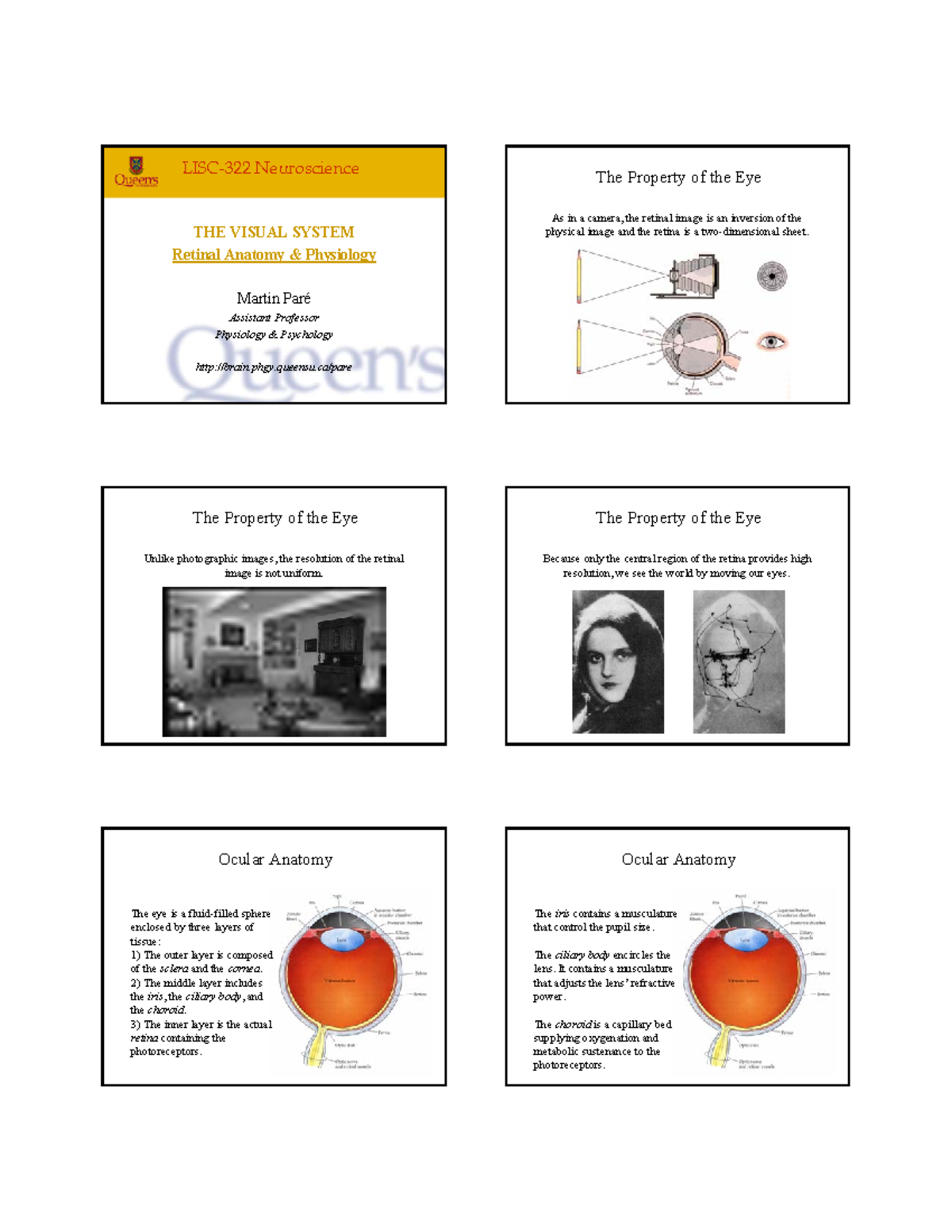 Lecture notes, lecture retinal anat phyg - Neuroscience THE VISUAL ...