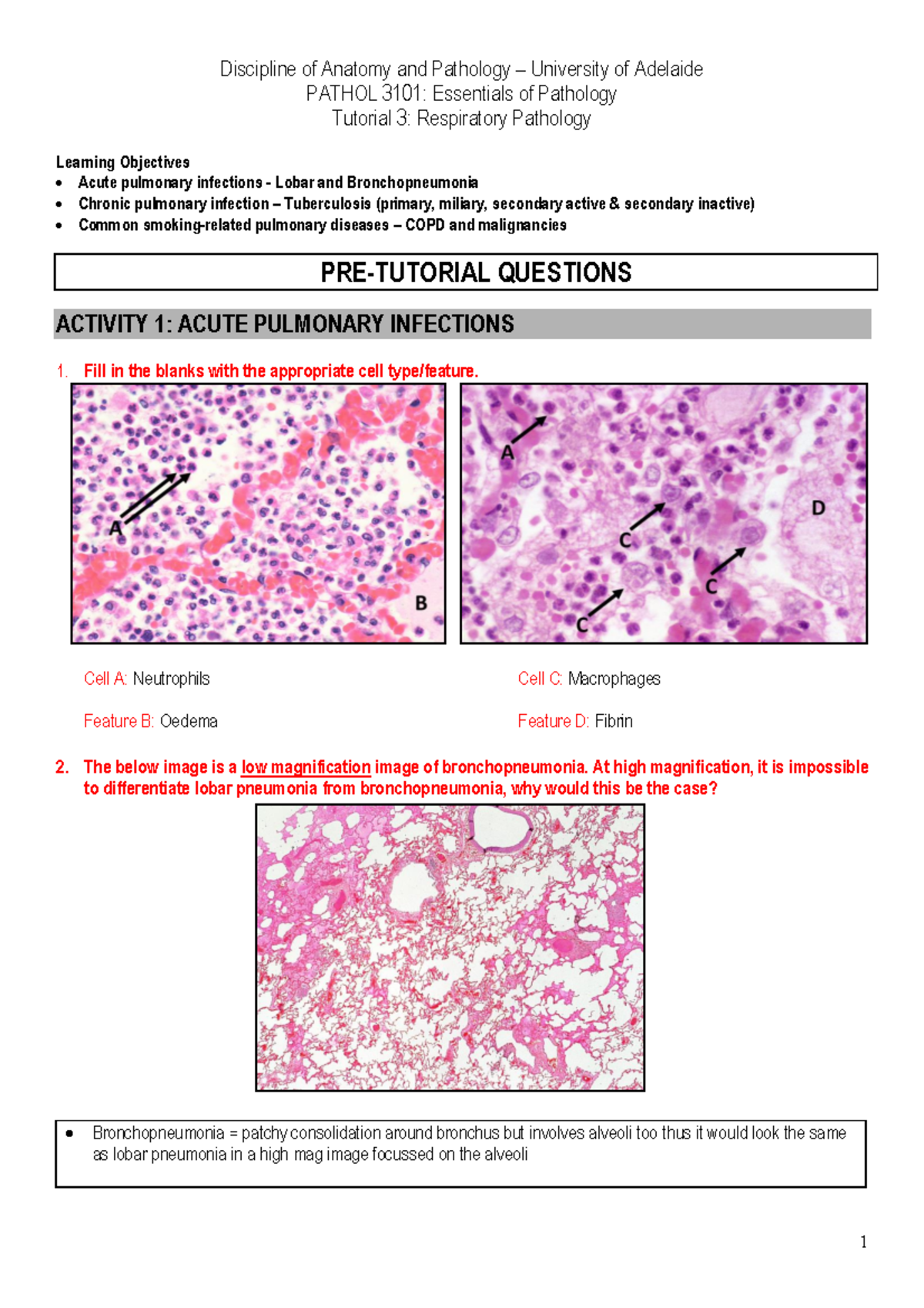 Tutorial 3 2021 Answers - PATHOL 3101: Essentials of Pathology Tutorial ...
