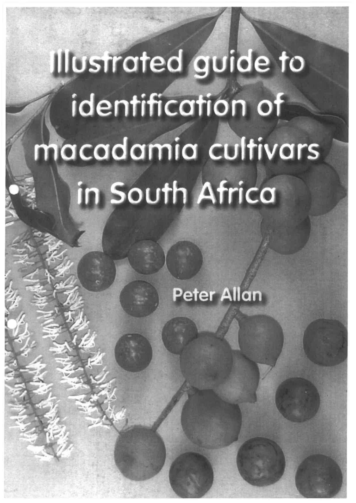 Guide forr Identification of macadamia cultivars in South Africa ...