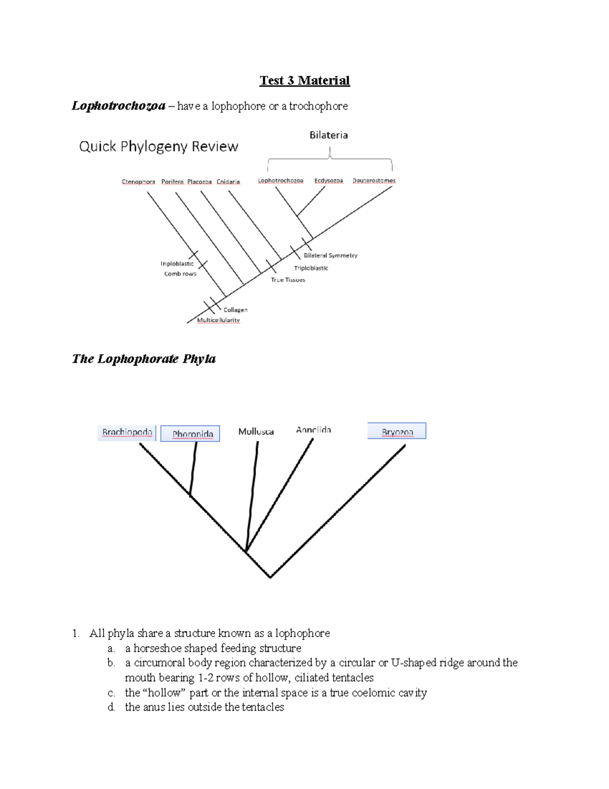 Test 3 Material - BIOL 302 Integrative Animals - Test 3 Material ...