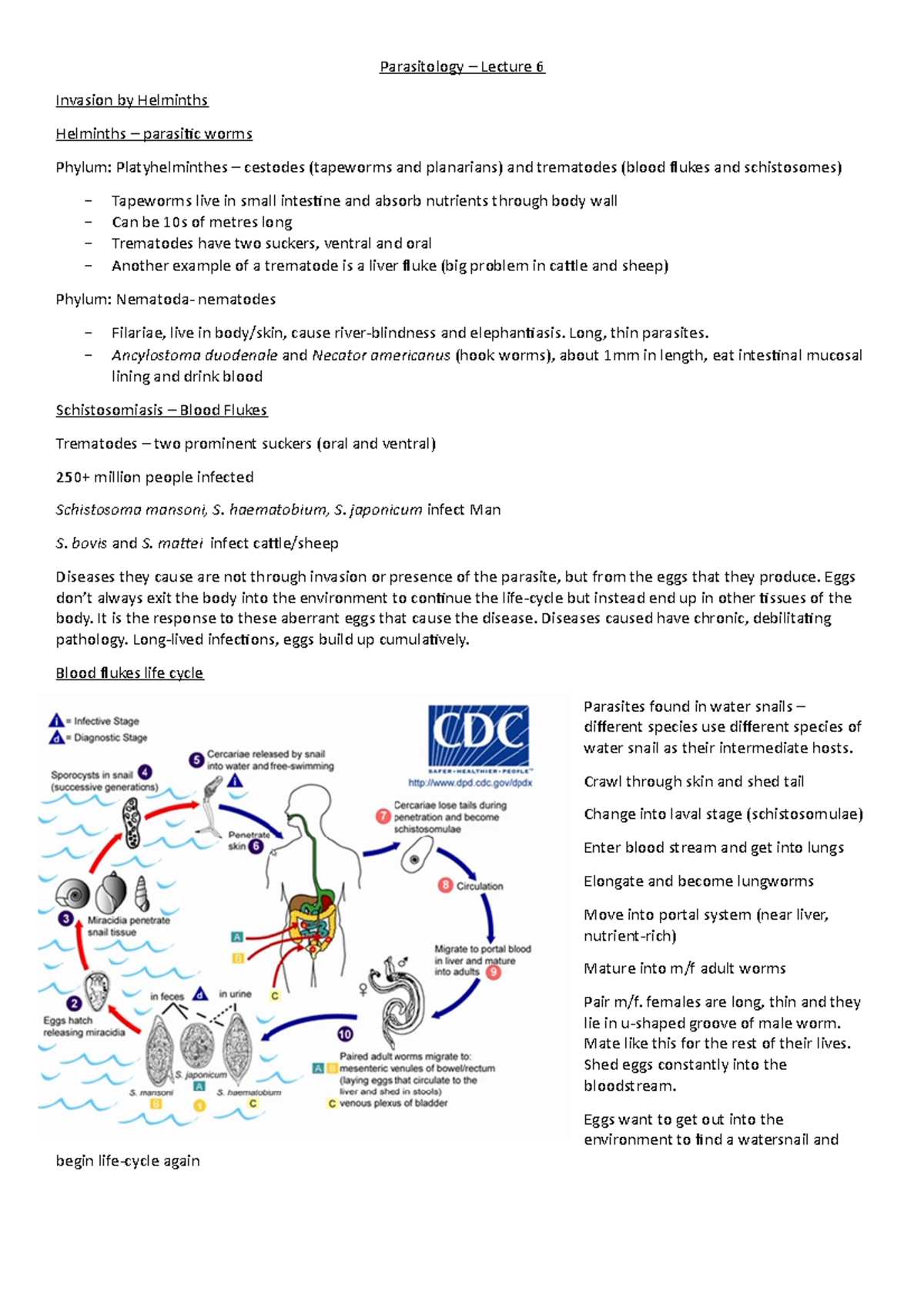 Lecture 6 notes - Parasitology – Lecture 6 Invasion by Helminths ...