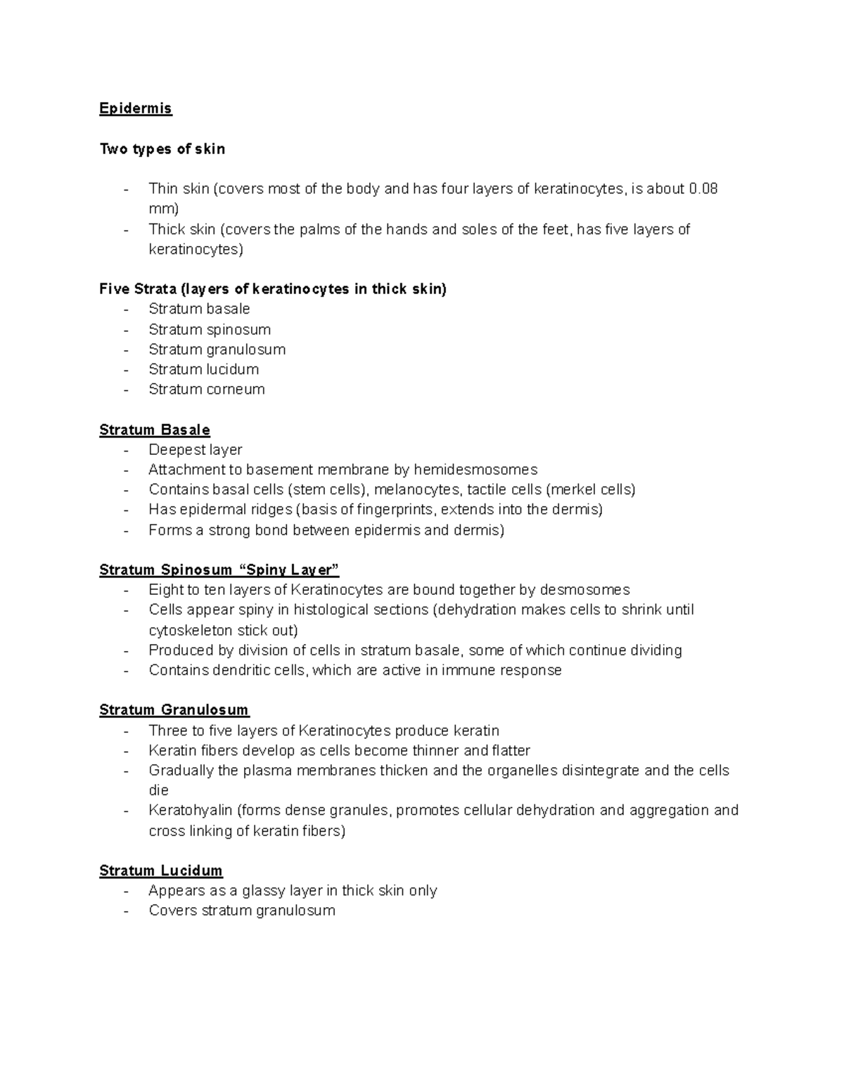 Chapter 5 Anatomy Notes - Epidermis Two types of skin Thin skin (covers ...