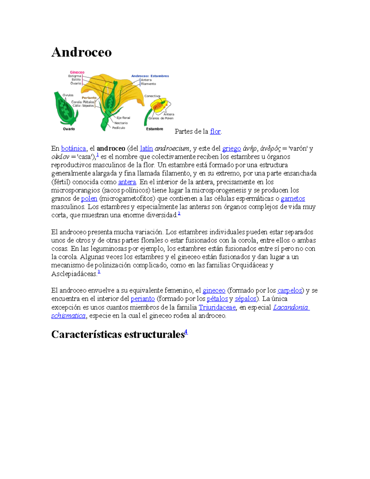 Androceo plantas - Androceo Partes de la flor. En botánica, el androceo ...