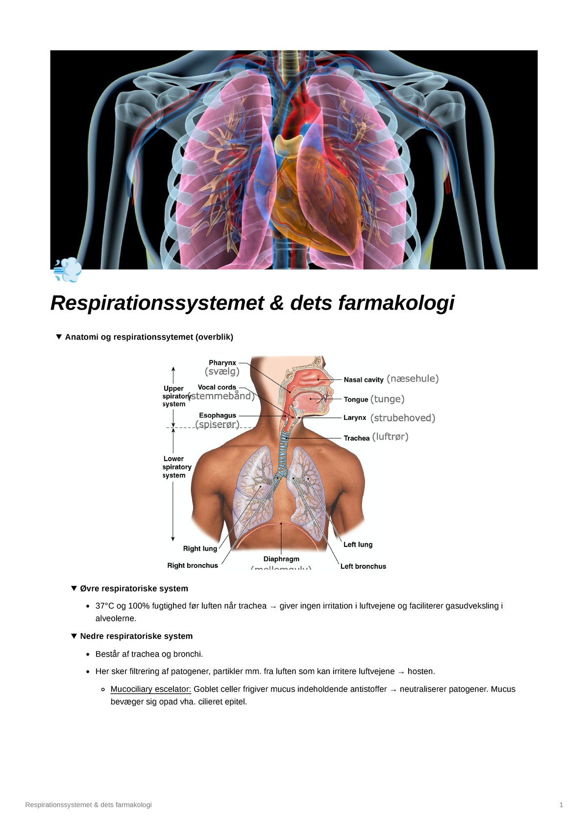 Respirationssystemet dets farmakologi - Respirationssystemet & dets ...