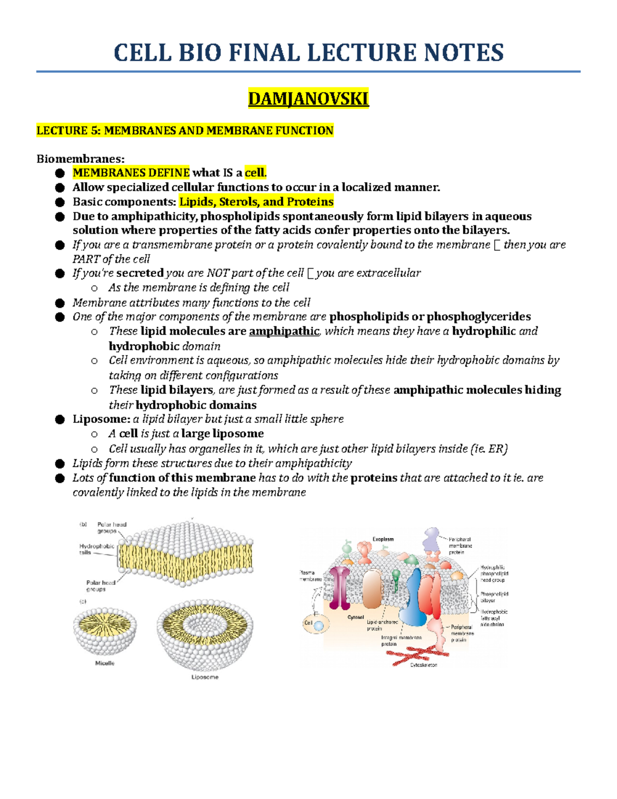 Cell Bio Final Lecture Notes - CELL BIO FINAL LECTURE NOTES DAMJANOVSKI ...