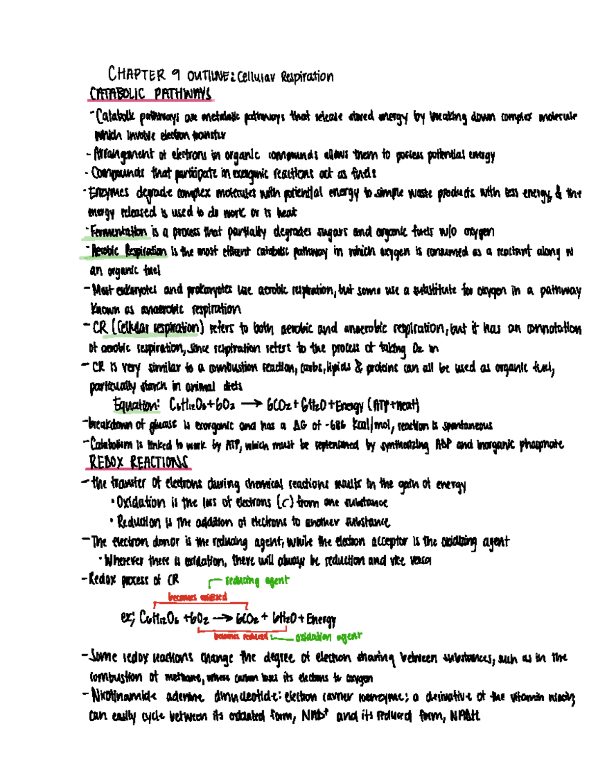 AP biology Chapter 9 Notes - CHAPTER 9 OUTLINE CellularRespiration ...
