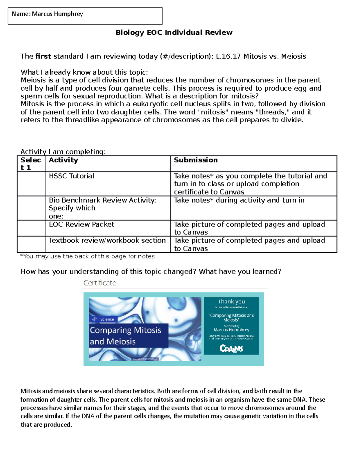 Biology EOC Review: Mitosis vs. Meiosis and Transcription Translation ...