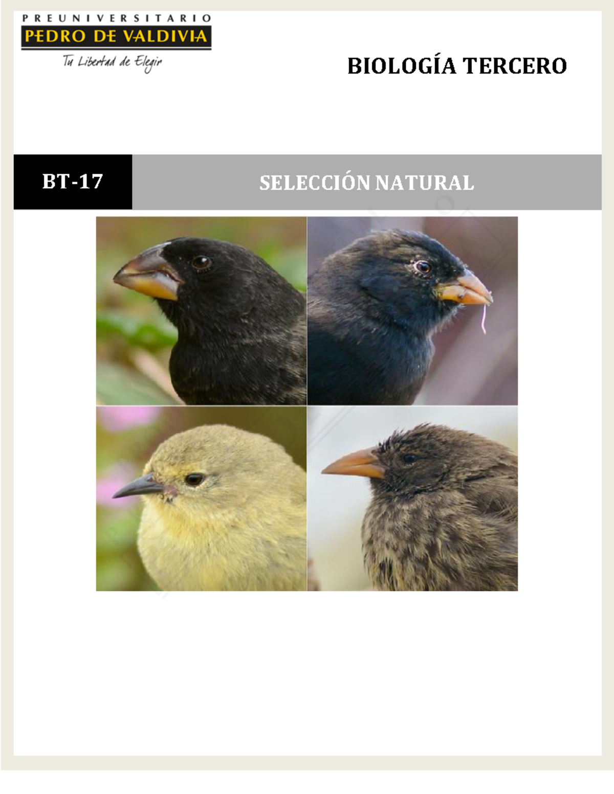 Seleccion Natural - resumenes de biología - BIOLOGÍA TERCERO BT- 17 ...