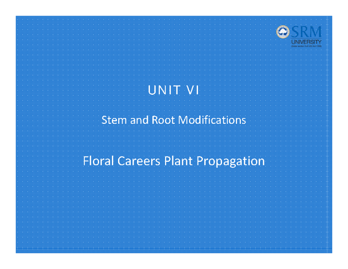 Stem And Root Modifications - UNIT VI Stem and Root Modifications ...