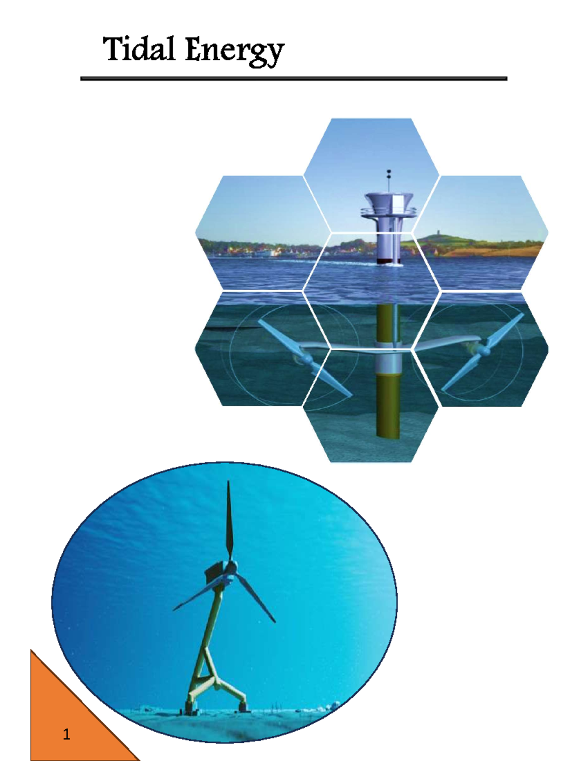 Chem Project: Exploring Tidal Energy's Potential and Impact - Tidal ...