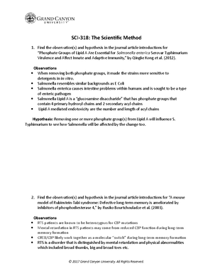 Scientific Method Worksheet - Name:_________ Find the observation(s ...