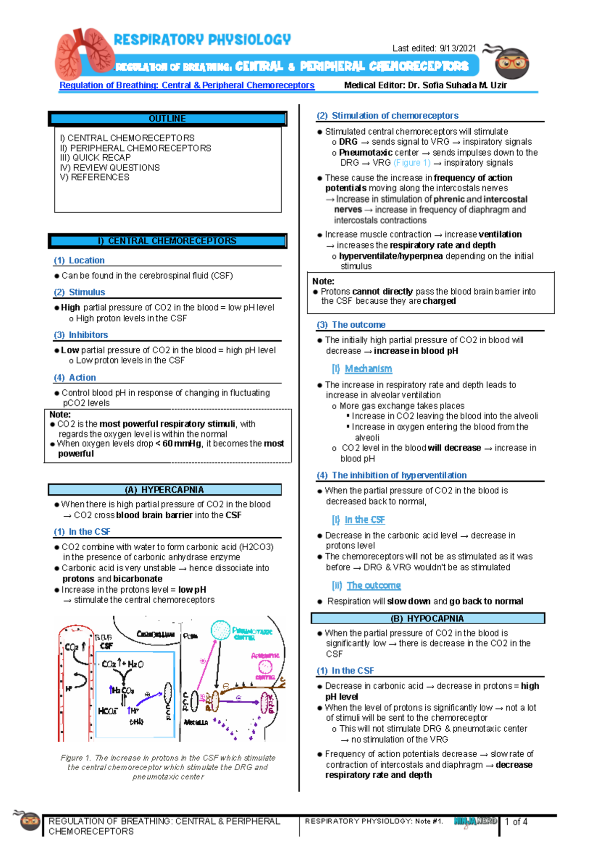 16. Regulation of Breathing - REGULATION OF BREATHING: CENTRAL ...