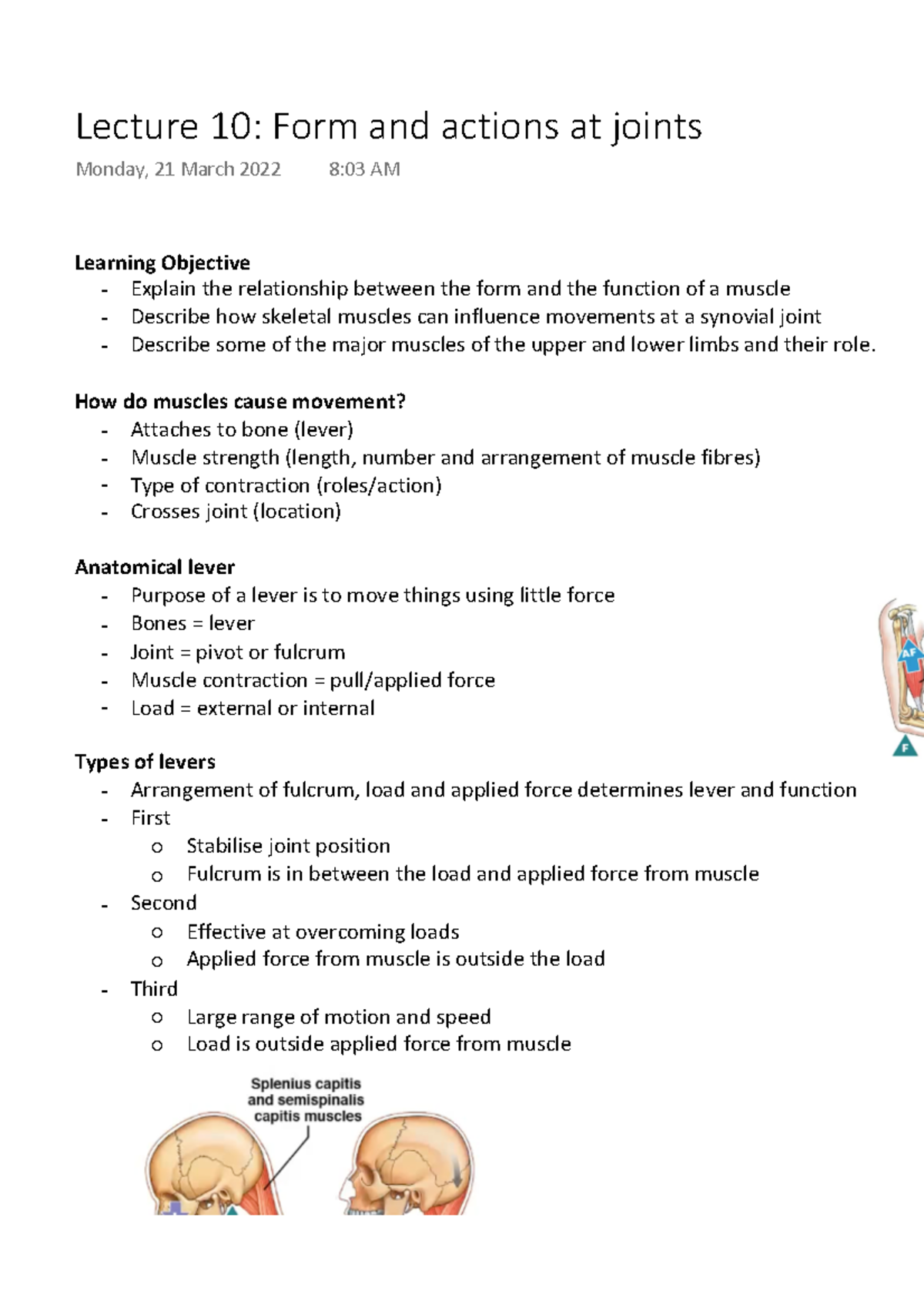 Lecture 10 Form and actions at joints - Learning Objective - Explain ...