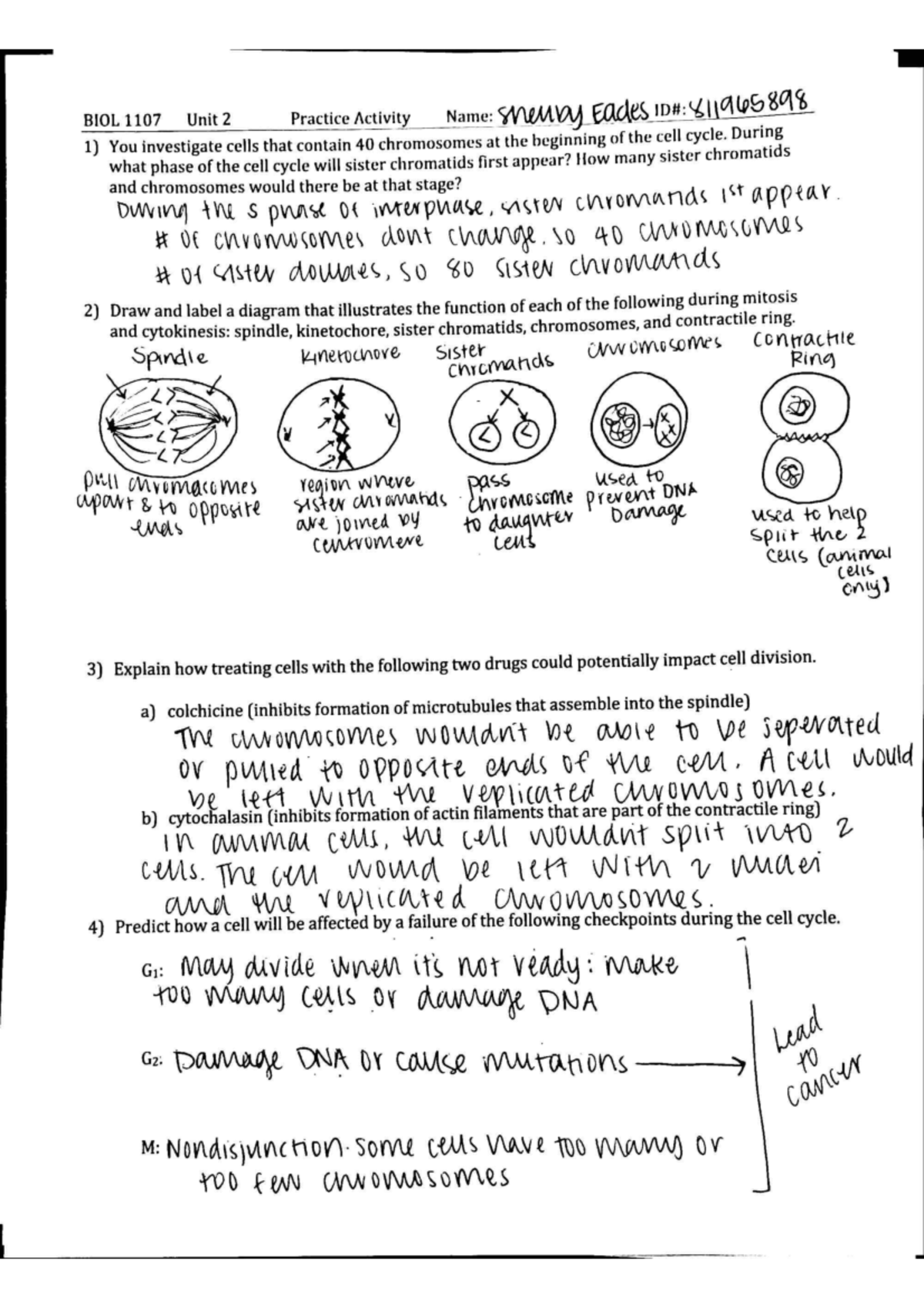 Unit 2 Practice Assignments - BIOL 1107 - Studocu