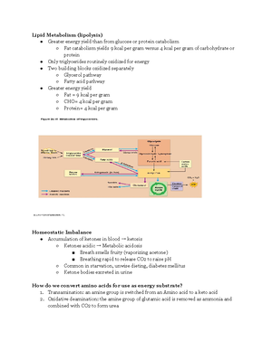 Exam 1 (ch1-4) study guide - Exam 1 Study Guide Chapter 1 1 determines ...