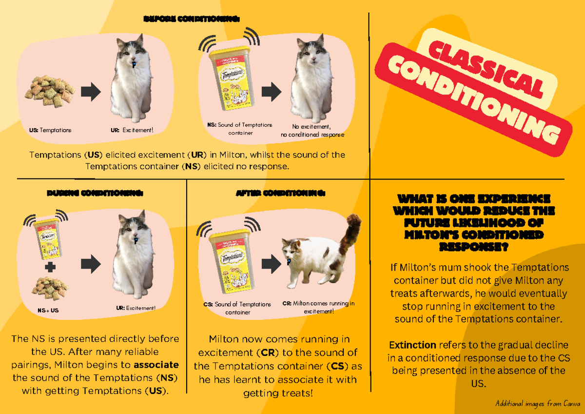 Assignment 1 Posters - PSYC332 - CLASSICAL CONDITIONING BEFORE CONDITIONING: US: Temptations UR ...
