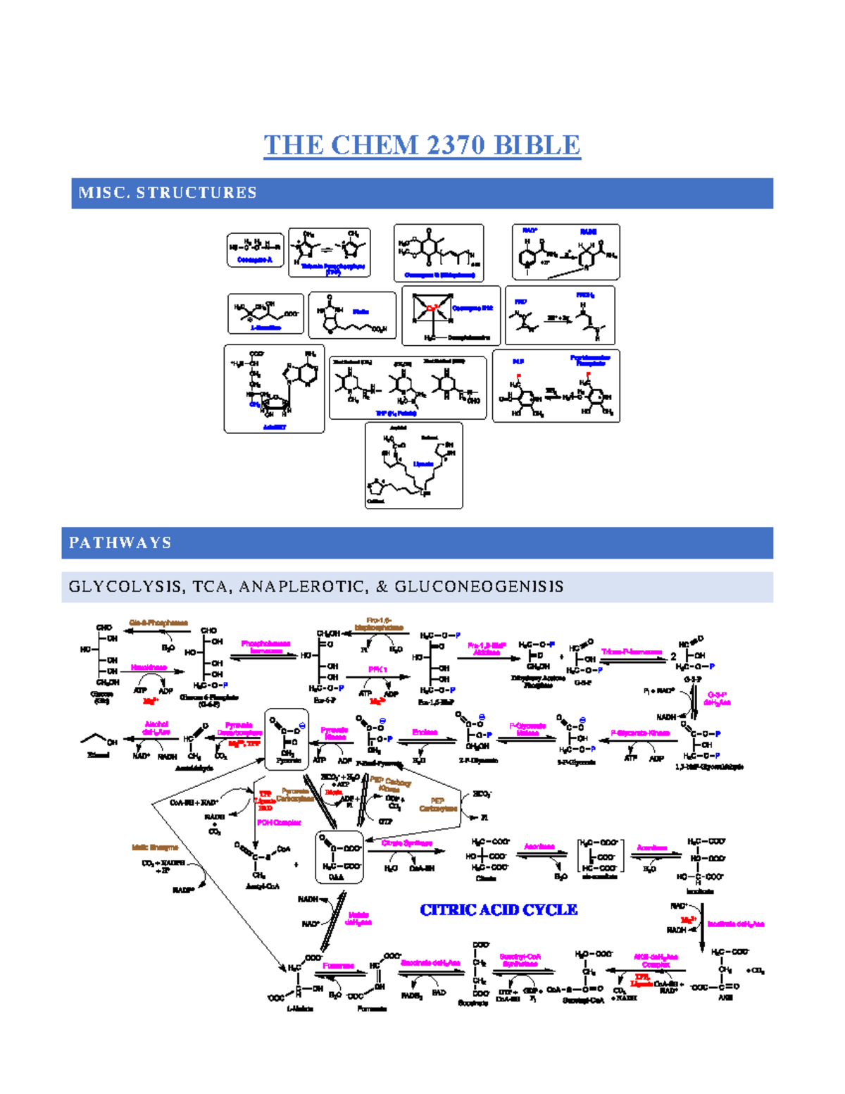 CHEM 2370 Bible - Summary Biochemistry 2: Catabolism, Synthesis, And Information Pathways ...
