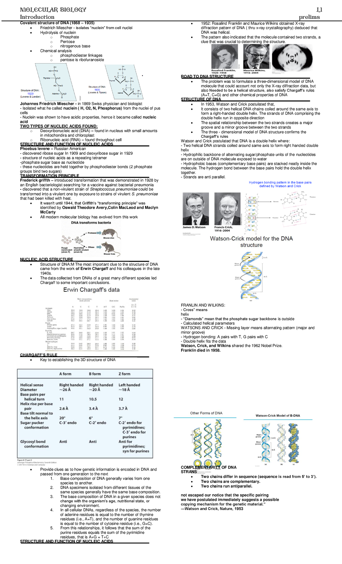 Covalent structure of DN1 - MOLECULAR BIOLOGY L Introduction prelims Covalent structure of DNA ...