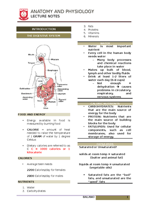 Anaphy notes 1 - human anatomy and physiology 1st year most of the ...