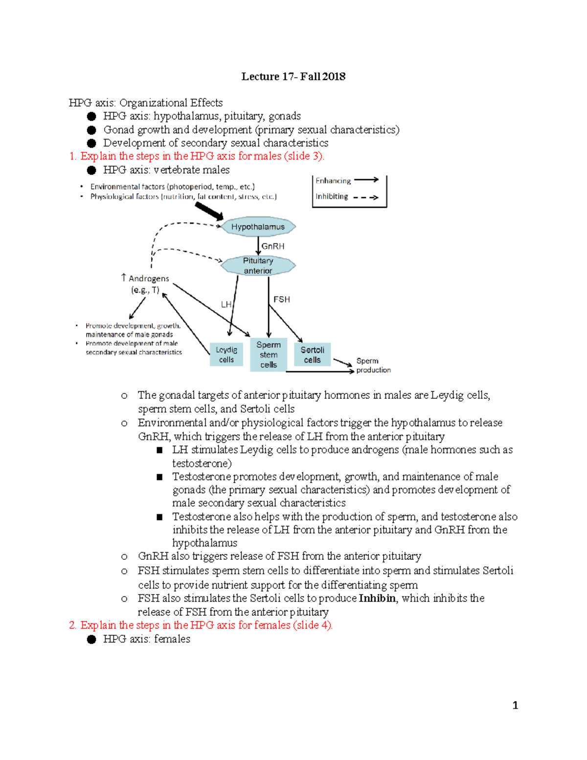 Lecture 17 - Notes - Lecture 17- Fall 2018 HPG axis: Organizational ...
