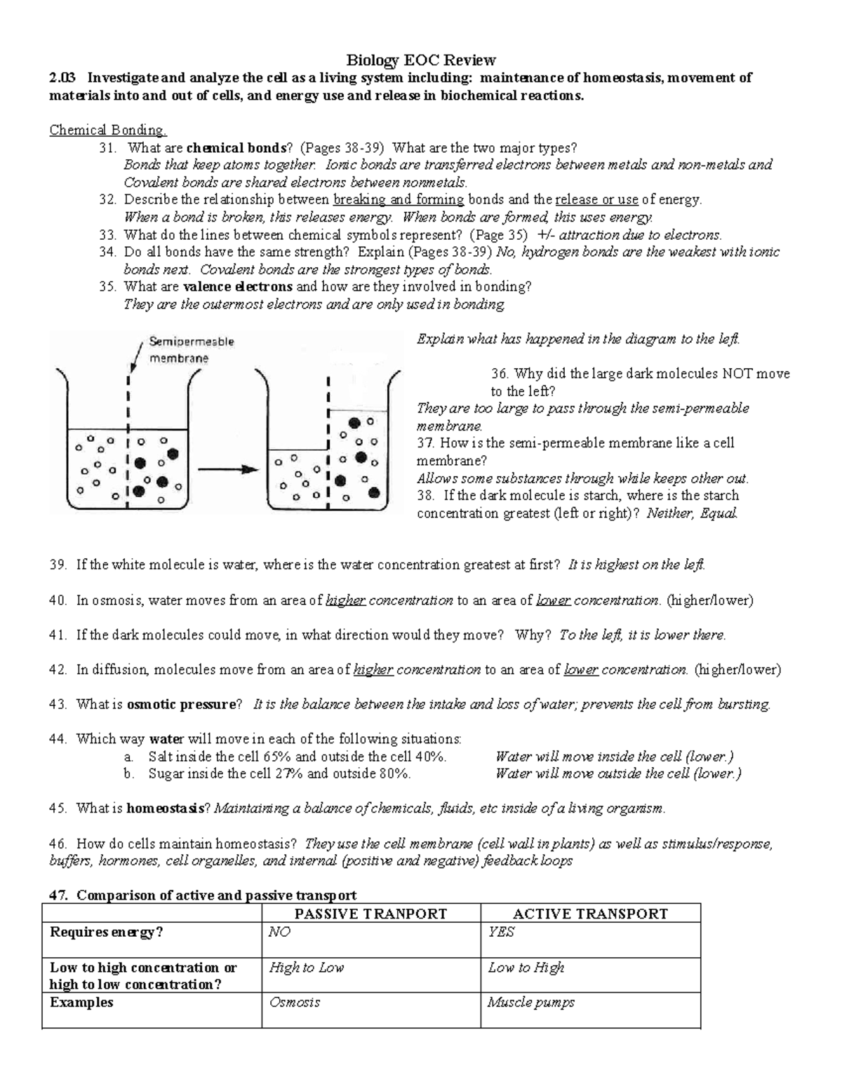 Review Packet 2 EOC review 2014 answers - 2 Investigate and analyze the ...