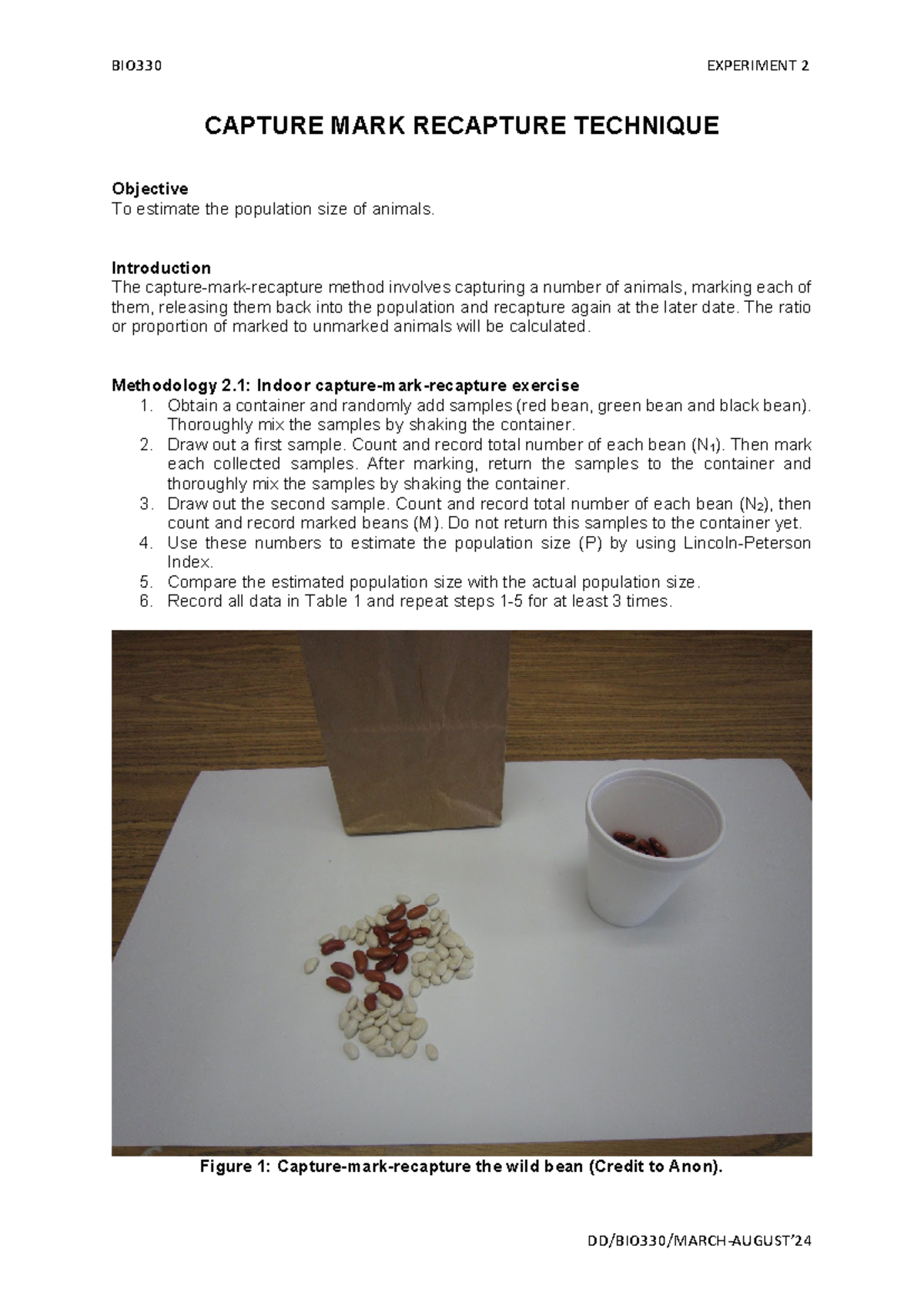 EXP 2 Capture MARK Recapture Technique - BIO330 EXPERIMENT 2 DD/BIO330 ...