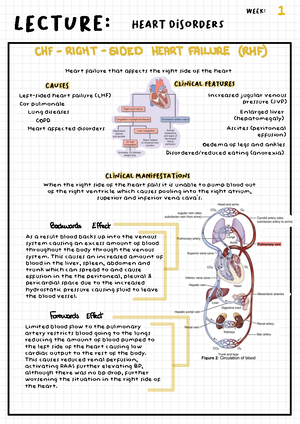 Pathophysiology of the Cardiovascular System - L!"tU#$: W!$k: C dI aS ...