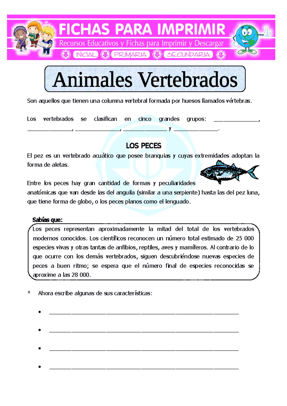 Ficha Animales Vertebrados Para Quinto De Primaria Son Aquellos Que
