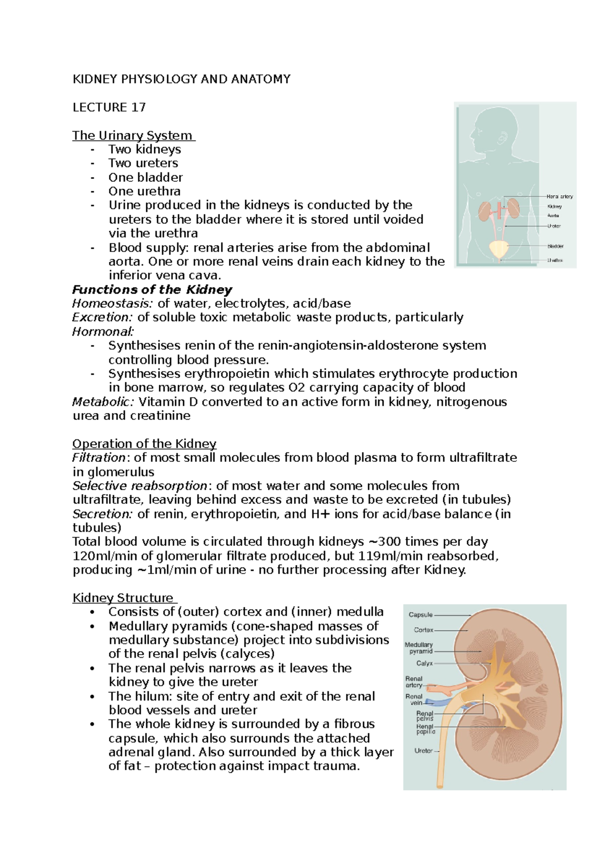 4BBY1060 Renal/Urinary Physiology and Anatomy - KIDNEY PHYSIOLOGY AND ...