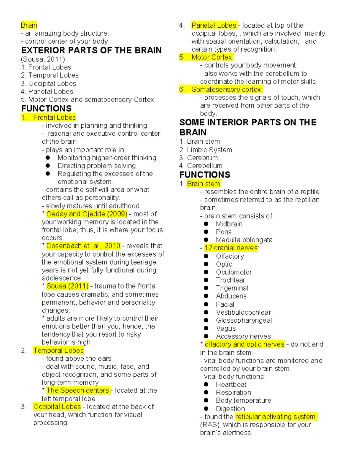 Personal Development - April Exam - Brain - an amazing body structure ...