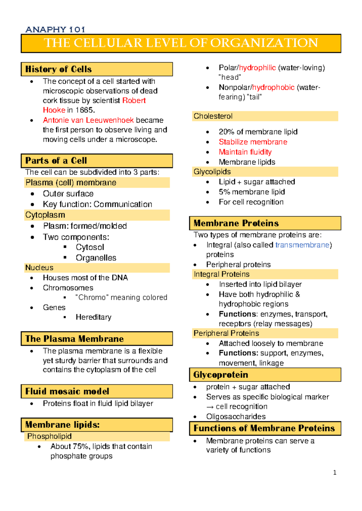 THE Cellular Level OF Organization( Abejo) - THE CELLULAR LEVEL OF ...