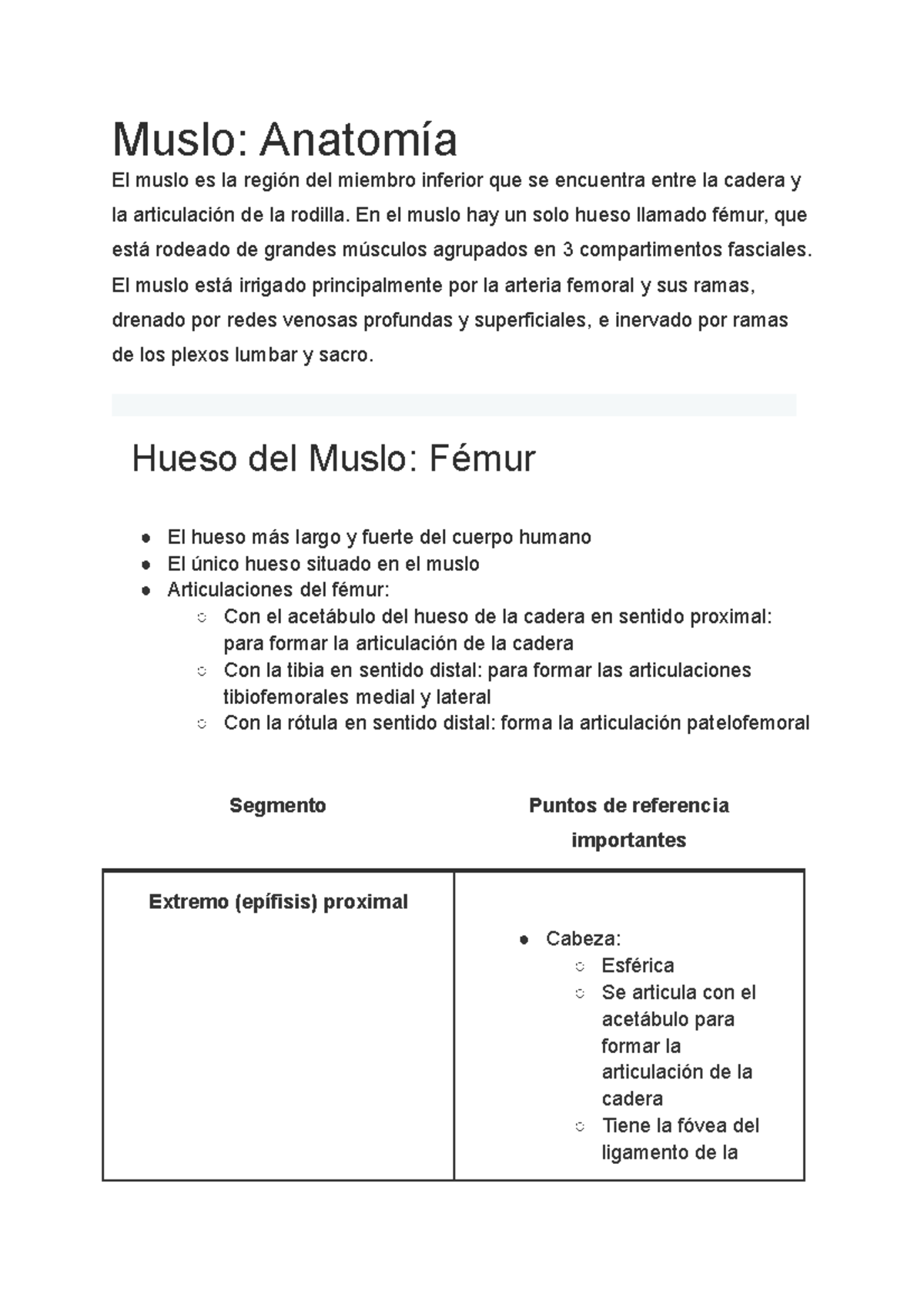 Muslo - miembro inferior - Muslo: Anatomía El muslo es la región del ...