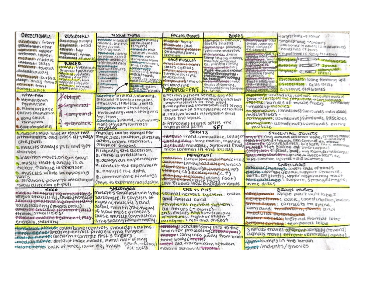 FILE 1952 copy - for finals - Studocu